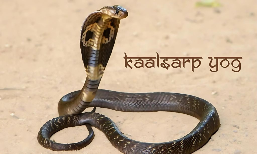Kaal Sarp Dosh: Unraveling Its Impact | AstroCulture