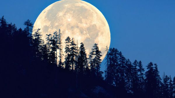 2025 Supermoons Astrology Insights | AstroCulture